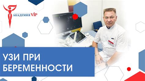 УЗИ при беременности - YouTube