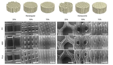 Internal architectures of the 3D porous structures. SEM revealing pore ...