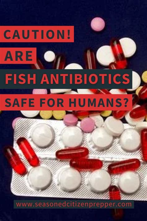 Are Fish Antibiotics Safe For Humans? in 2020 | Fish antibiotics ...