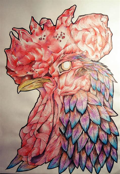 Gallo. : r/drawing