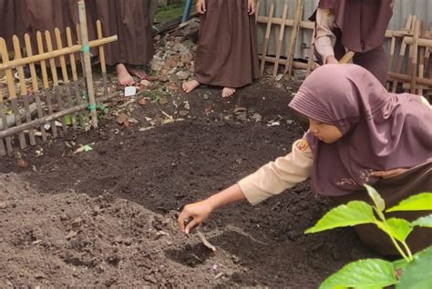 Manfaatkan Lahan Sekolah, Siswa SDN Gudang II Belajar Bercocok Tanam - Kabupaten Sumedang