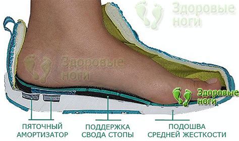 Ортопедическая обувь при пяточной шпоре - какую носить? Как выбрать ...