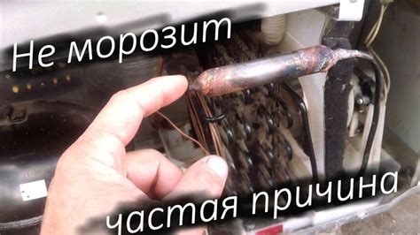 Холодильник включается, гудит, но не морозит. Самая частая проблема ...
