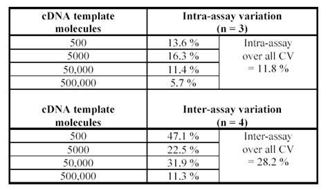 BioInformatics - PCR Efficiency in real-time PCR