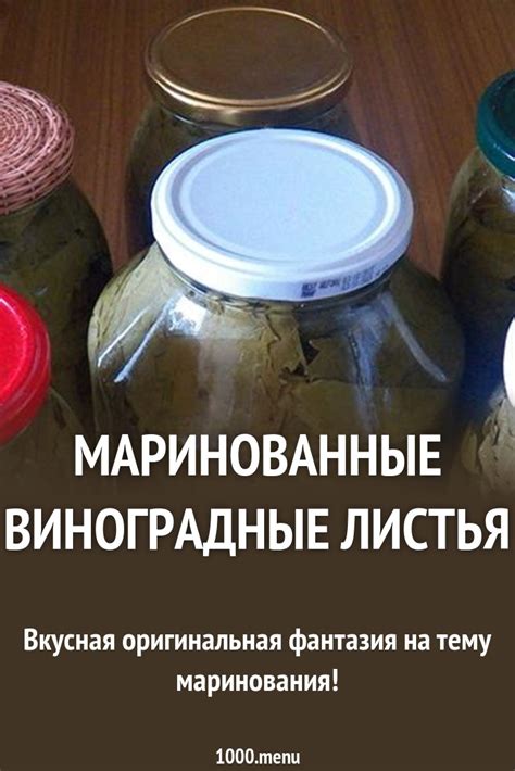 Маринованные виноградные листья рецепт с фото пошагово - 1000.menu