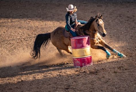 830+ Barrel Racing Foto Foto Foto Stok, Potret, & Gambar Bebas Royalti - iStock