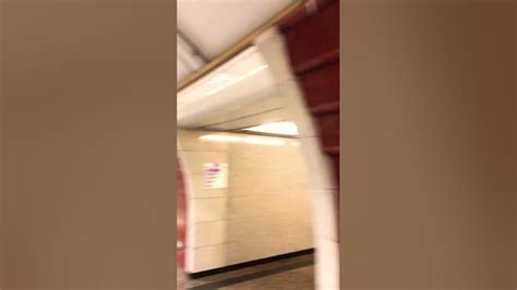 Та самая загадочная птичка на Бухарестской! #этопитердетка городские ...