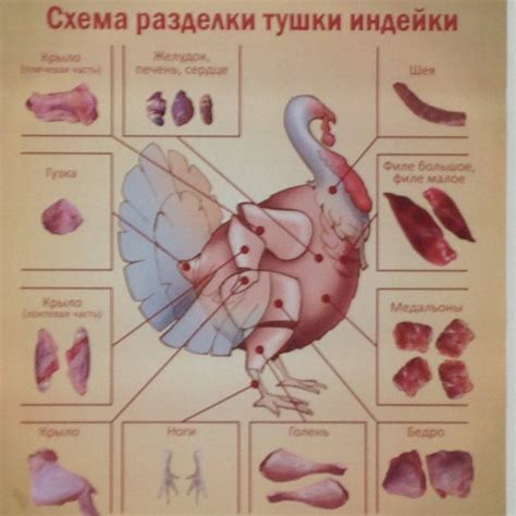Медальоны из индейки это какая часть туши - 81 фото
