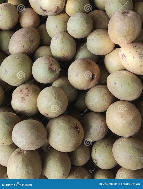 Sawo stock image. Image of fruits, local, sweat, indonesia - 224898531