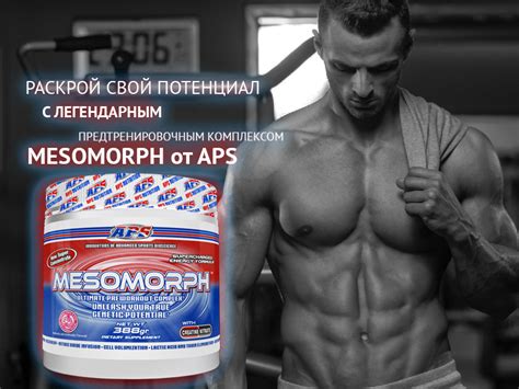 Mesomorph — купить по низкой цене