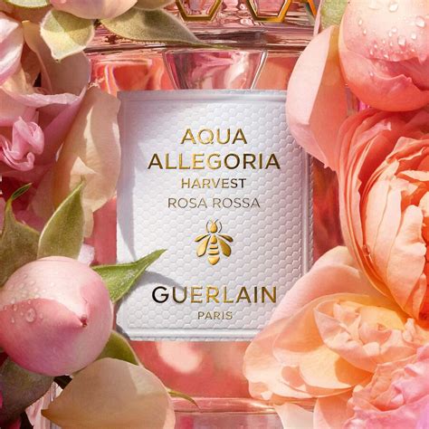 Guerlain Apresenta Edições Limitadas Aqua Allegoria Harvest ~ Novas ...