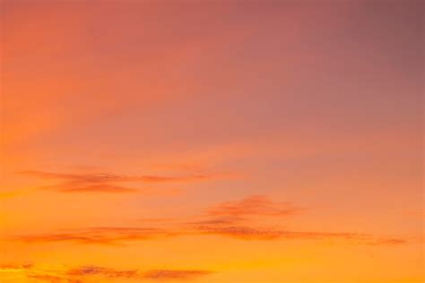 Premium Photo | Trend color background