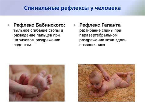 Основы детского массажа - презентация онлайн