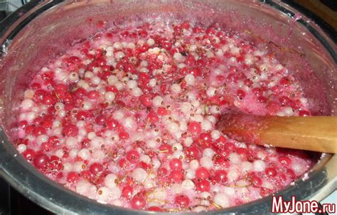Желе из красной (белой) смородины. Быстро и вкусно - ягоды, желе ...