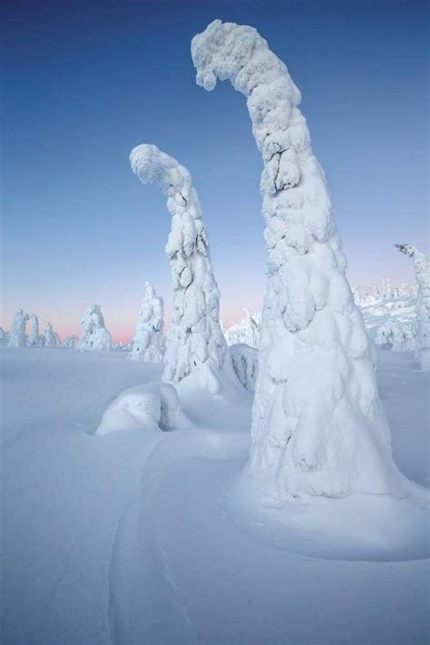 Winter Scene, In Lapland, Finland | Winter scenes, Beautiful ...