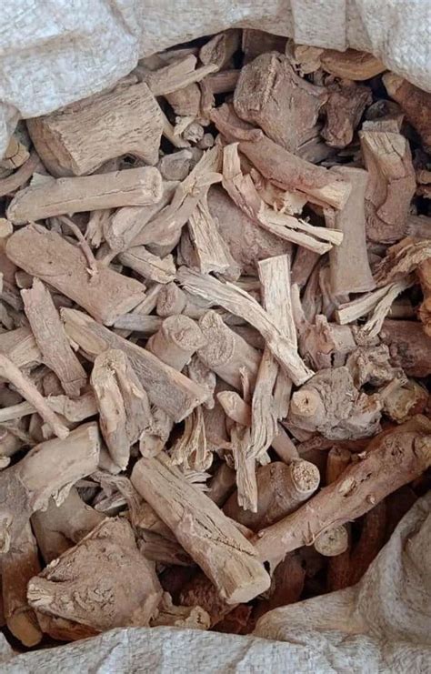 Costus Root - Indian Costus Root Latest Price, Manufacturers & Suppliers