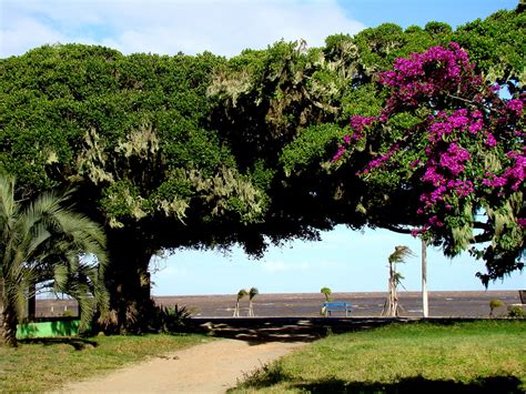 UM PONTO DE VISTA: ARAMBARÉ-RS