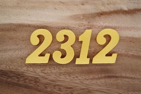 2312 Images – Browse 21 Stock Photos, Vectors, and Video | Adobe Stock