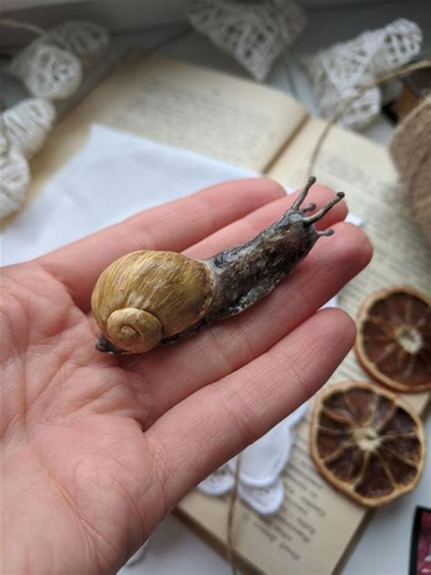 Брошь улитка | Snail
