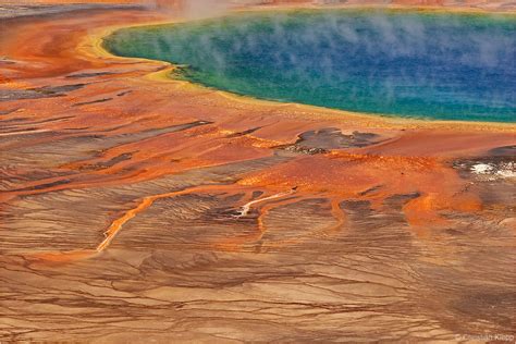thermophile (Forum für Naturfotografen)