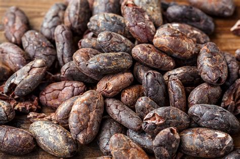 Was ist im Cacao? | Inhaltsstoffe & Infos| Tempel bauen
