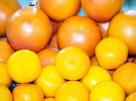 FRUTATA IMPORT AND EXPORT OF EXOTIC FRUITS AND VEGETABLES - Frutata