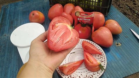 Томат Батяня: плюсы и минусы сорта, фото