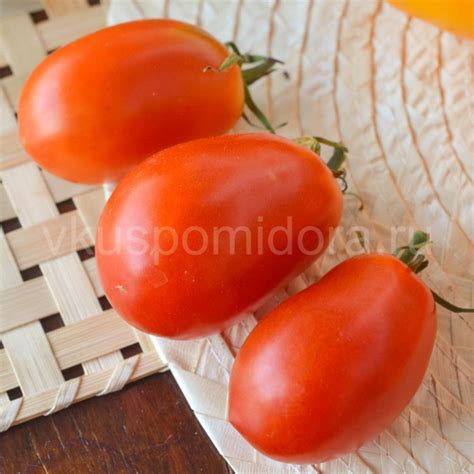 Купить семена томата сорт Сан Марцано Нано бочонок (San Marzano Nano)