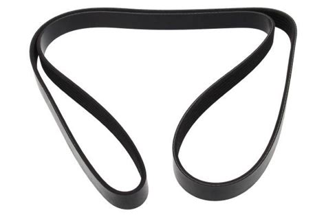 V-ribbed belt CONTITECH 6PK1590 AUTODOC price and review
