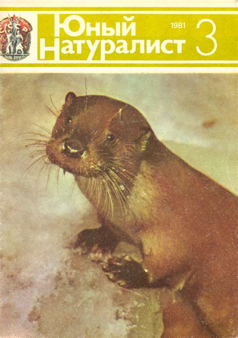 Журнал "Юный натуралист". Выпуск 3, 1981 год - купить с доставкой по ...