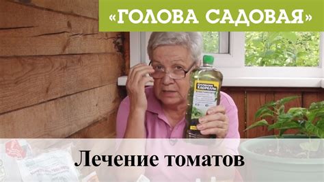 Голова садовая - Лечение томатов - YouTube