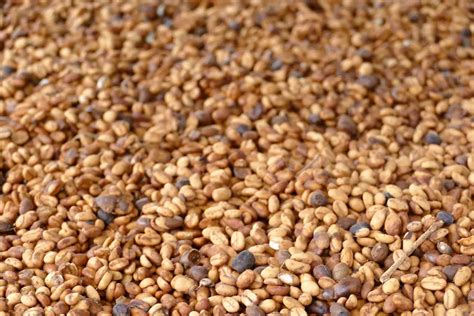 Did the Ancient Egyptians Drink Coffee? Discover the history of coffee ...