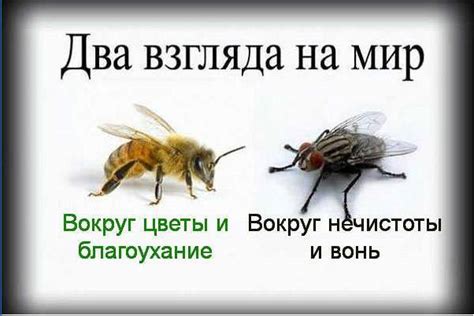 Поднят на поверхность второй чёрный ящик Ту-154