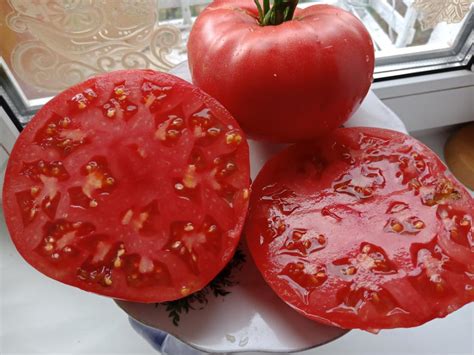 Юсуповский томат: описание, плюсы и минусы, советы садоводам