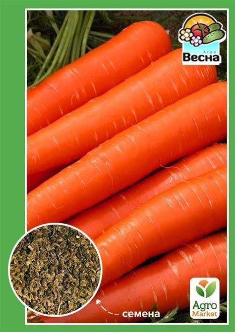 Морковь "Красная роза" ТМ "Весна" 2г купить почтой в Одессе, Киеве ...