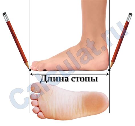 Таблица размеров детской обуви по возрасту и длине стопы