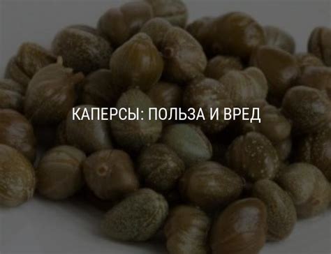 Каперсы – что это такое и с чем их едят, состав, применение в народной ...