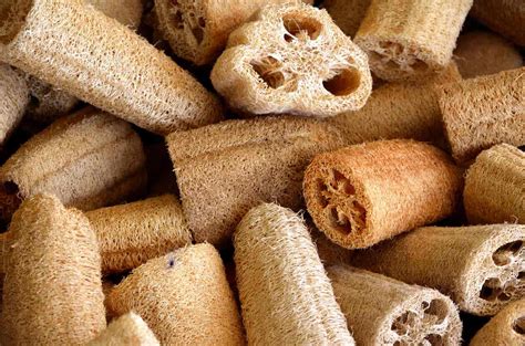 Luffa sponges: benefits and how to use them