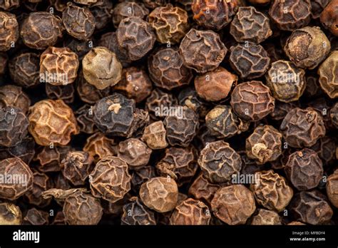 dry black Indian peppercorn background and texture Stock Photo - Alamy