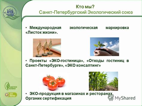 Презентация на тему: "Санкт-Петербургский Экологический союз Наталья ...