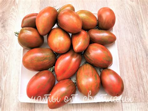 Любовь Одри (ПРОЕКТ "DWARF TOMATO") - семена томатов