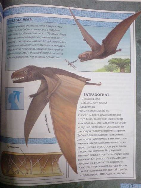 Книга: Большая иллюстрированная энциклопедия динозавров - Мэлам, Паркер ...