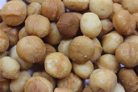 Macadamia (100g) - De Groene Luifel - Webshop