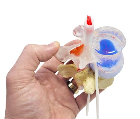 True Blue Professional LxH Model: Advanced LXH Model with Blue Nucleus ...