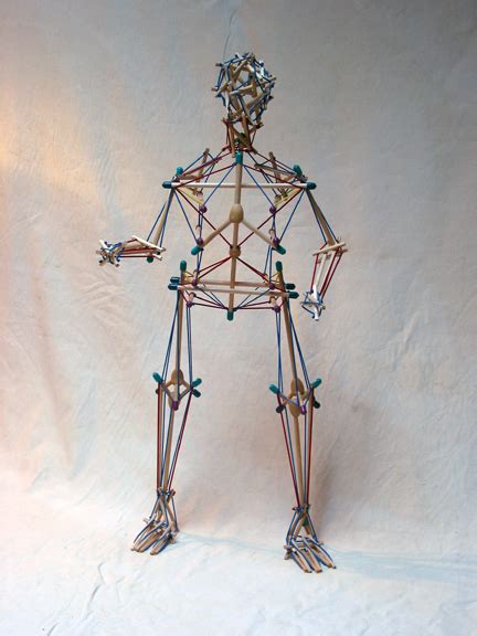 Biotensegrity Models | intension designs