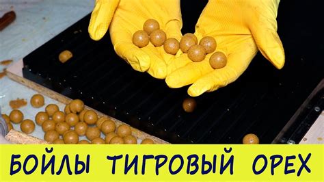 Бойлы Тигровый орех своими руками / Вареные бойлы - YouTube