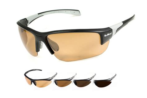 Фотохромные очки с поляризацией BluWater Samson-3 Polarized (brown ...