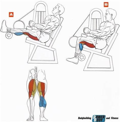 Сгибание ног сидя — техника выполнения, советы | Power-Body