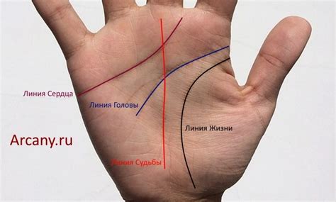 Что означает буква М на правой или левой ладони в хиромантии