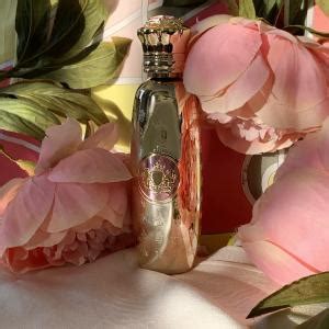 Aludra Spirit Of Kings perfume - a fragrance for women and men 2019